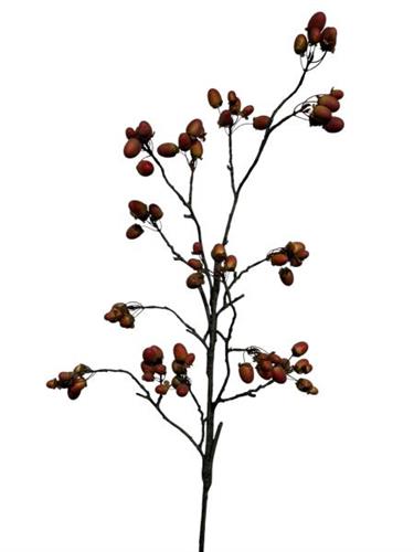 berry spray acorn 120 cm orange - Robert's Collection